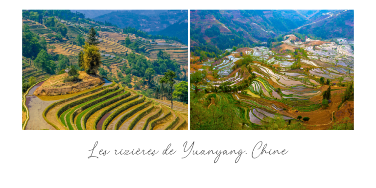 13 plus belles rizières d'Asie - ASIE ONLINE